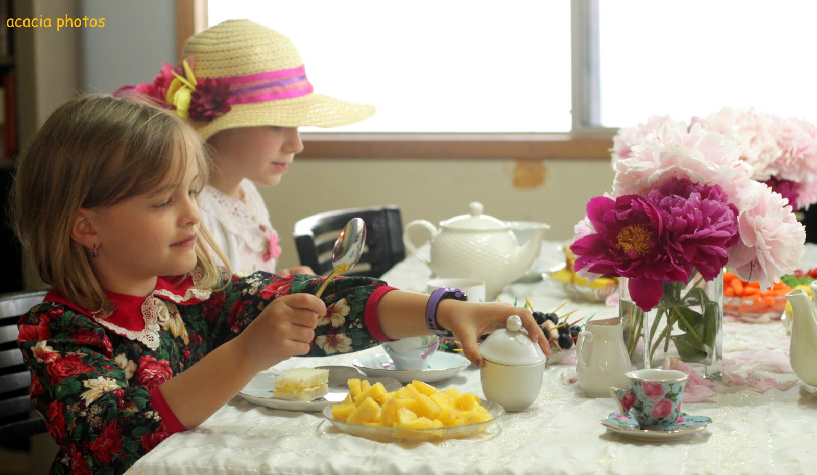 The Doyle Family: Tea time