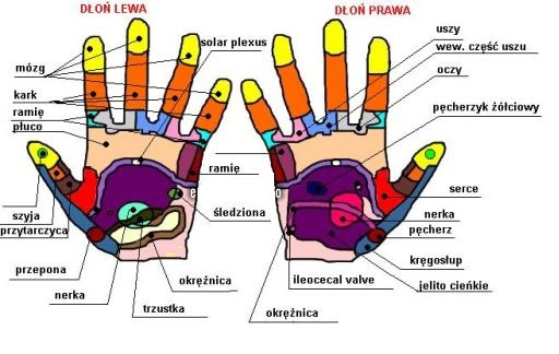 Raaany Julek !: Ręka, noga, mózg na ścianie, oko na widelcu :)