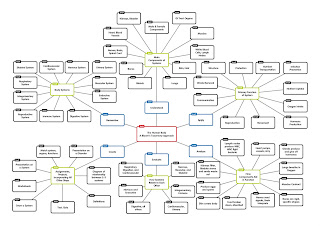 Teach 259 Portfolio: Blog 9 - Bloom's Taxonomy and Mind Mapping