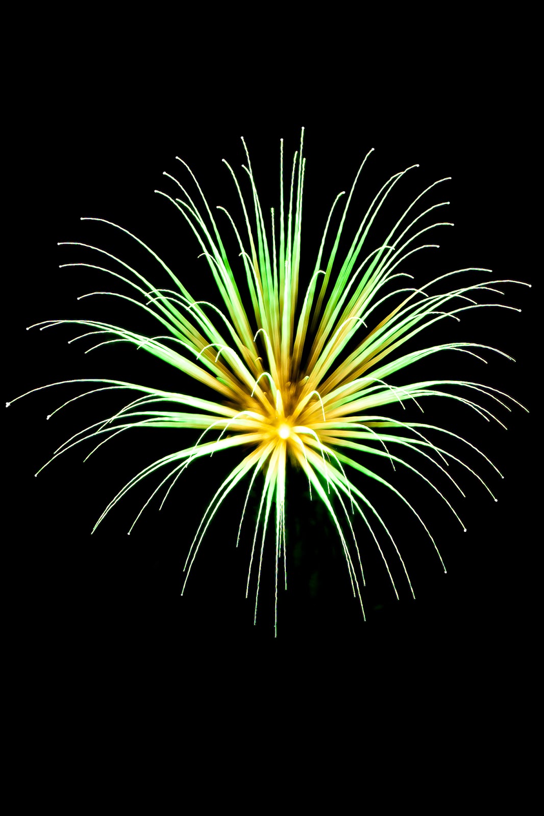 Suzanne Mathia Photography: AMAZING FIREWORKS IMAGES - TUTORIAL