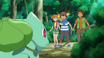 Poké-Arquivo: 001 - Bulbasaur ↳ Animes ~ PMD || Acervo de Imagens de ...