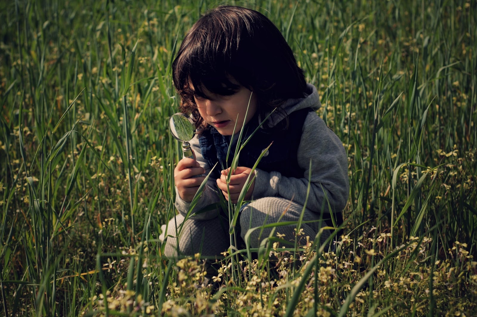 Beneficios de la naturaleza en los niños