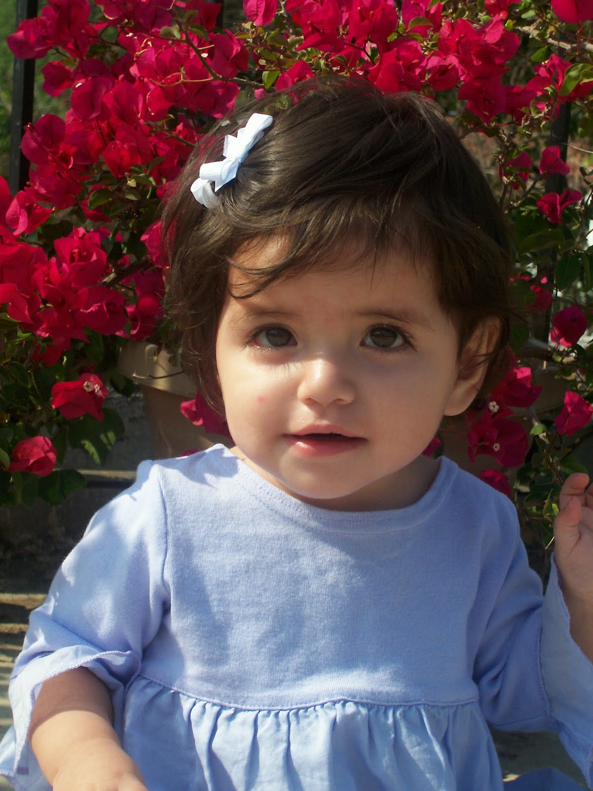 The Shrum Family Adventures: 5 Years Old Already!