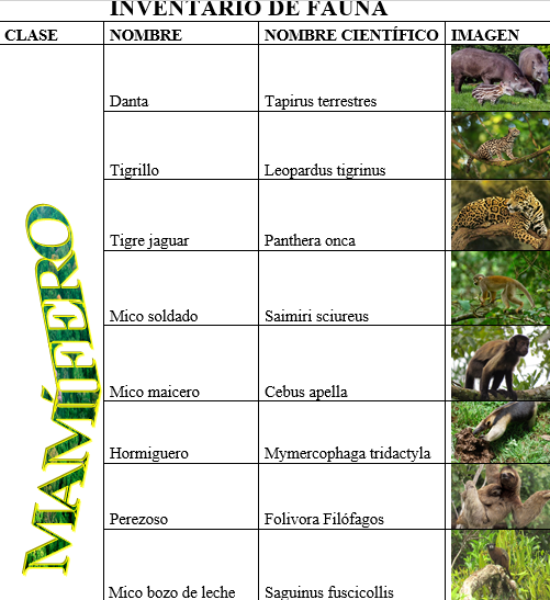 INVENTARIO DE ESPECIES DE FLORA Y FAUNA DE MI LOCALIDAD DE CONDAGUA