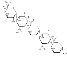 Educacion para la salud: La estructura y funcion de los carbohidratos