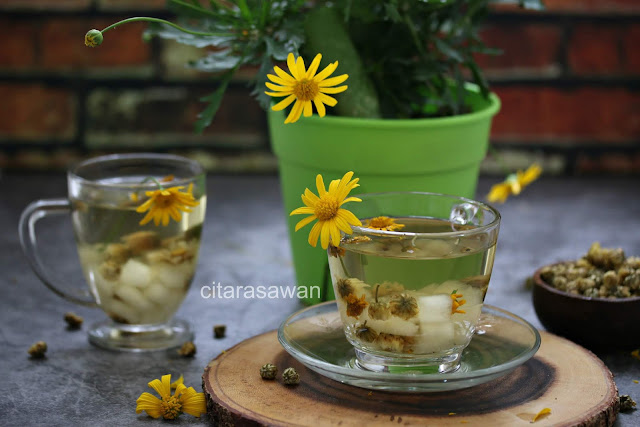 Minuman Chrysanthemum dan Kundur ~ Resepi Terbaik