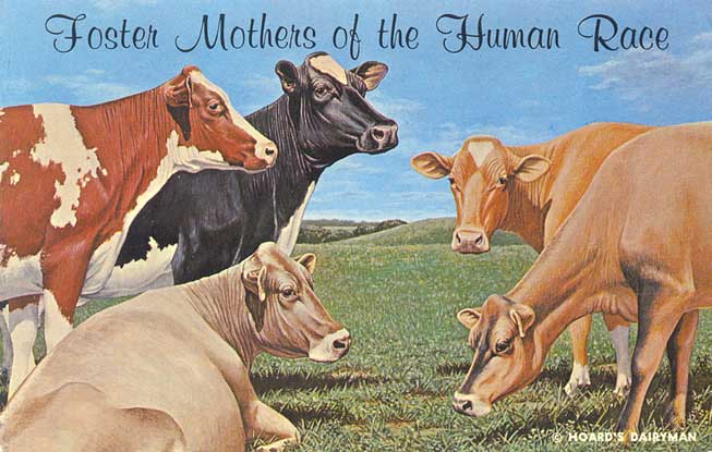 *Postcard Gems: Five Dairy Queens