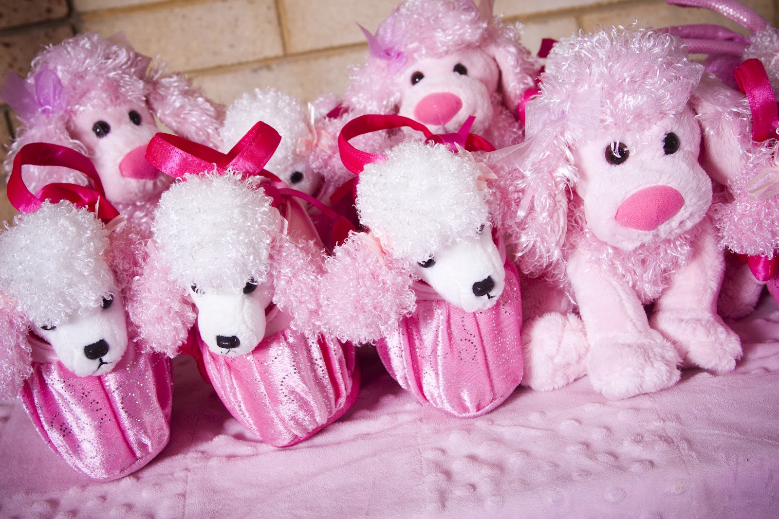 Ashlee Rae Designs: Ashlee's Pink Poodle Party