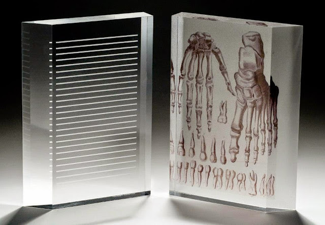 Super Bookworm Girl: See Through My Book