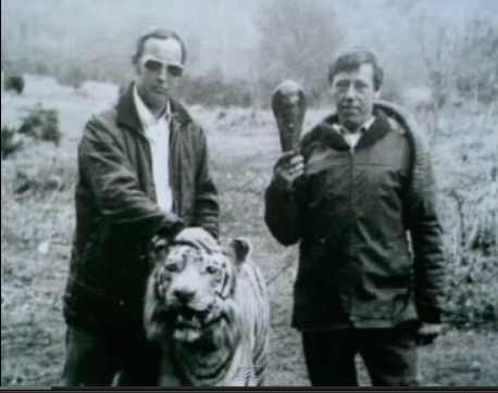 Cruel But Fair: The Piranha Brothers