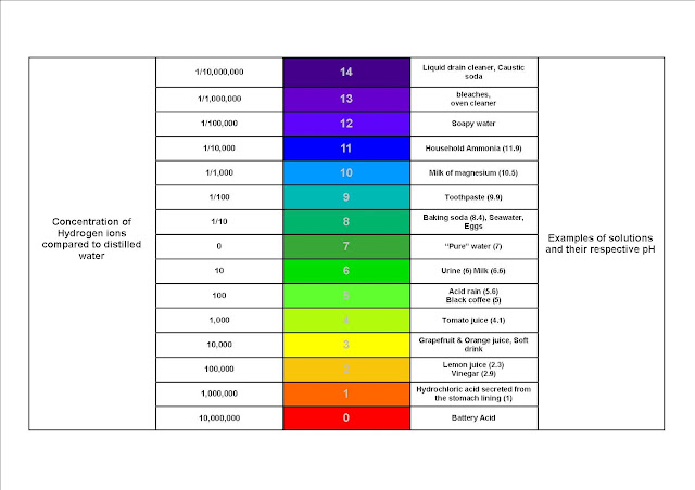 chemistry: Acid and Bases