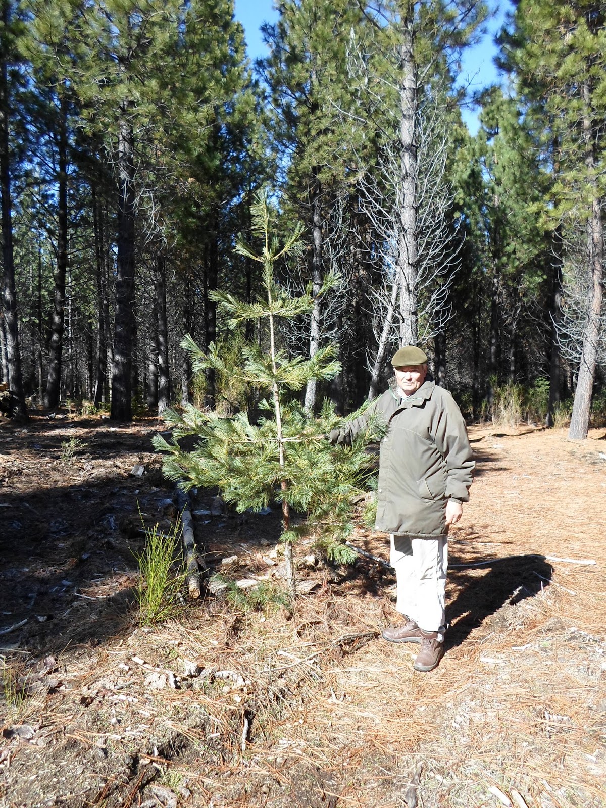 Patagonia Andina Forestal: Recorrida y Asistencia Técnica a campo