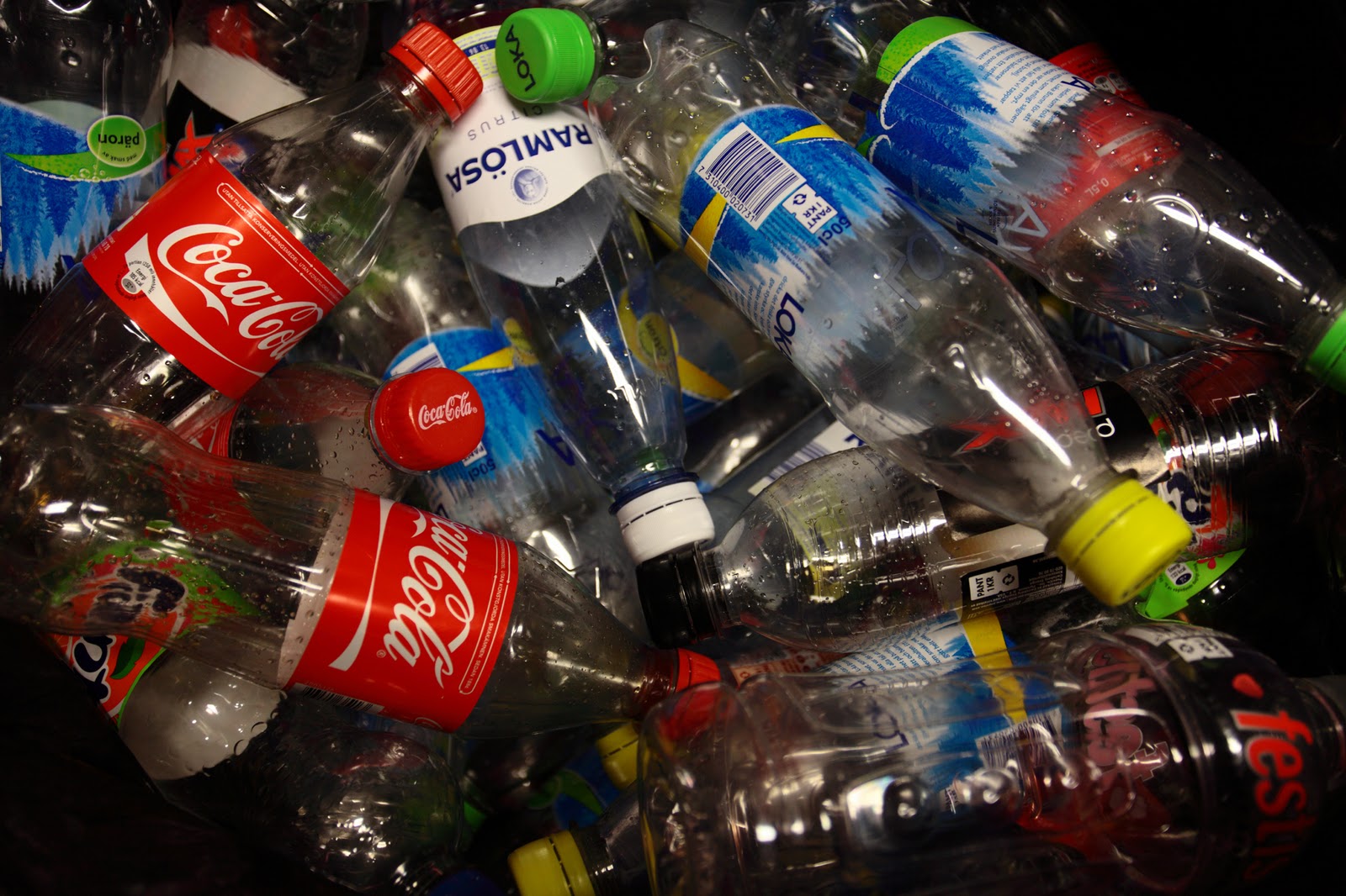 I Biomörkret: Panta mera