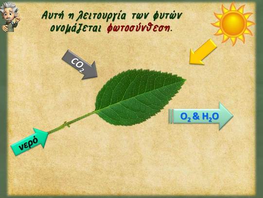 Η φωτοσύνθεση ~ α ΣΤ΄ ερια!!!