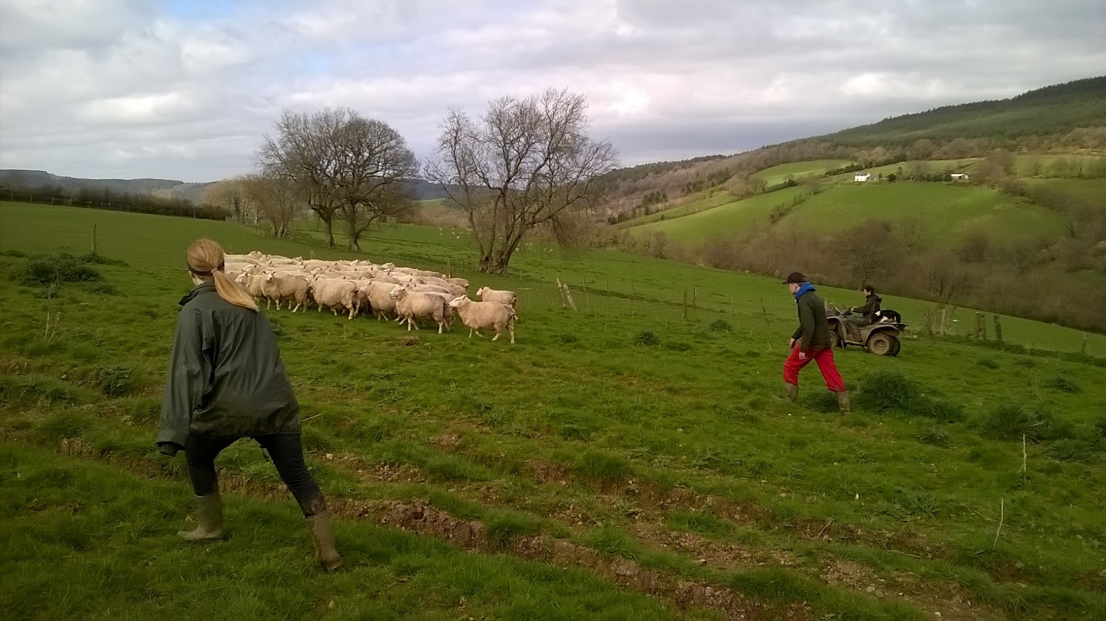 What's cookin' in Tanzania... and Uganda?: April 2017