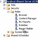 Web Snippets: Authorization in SSRS