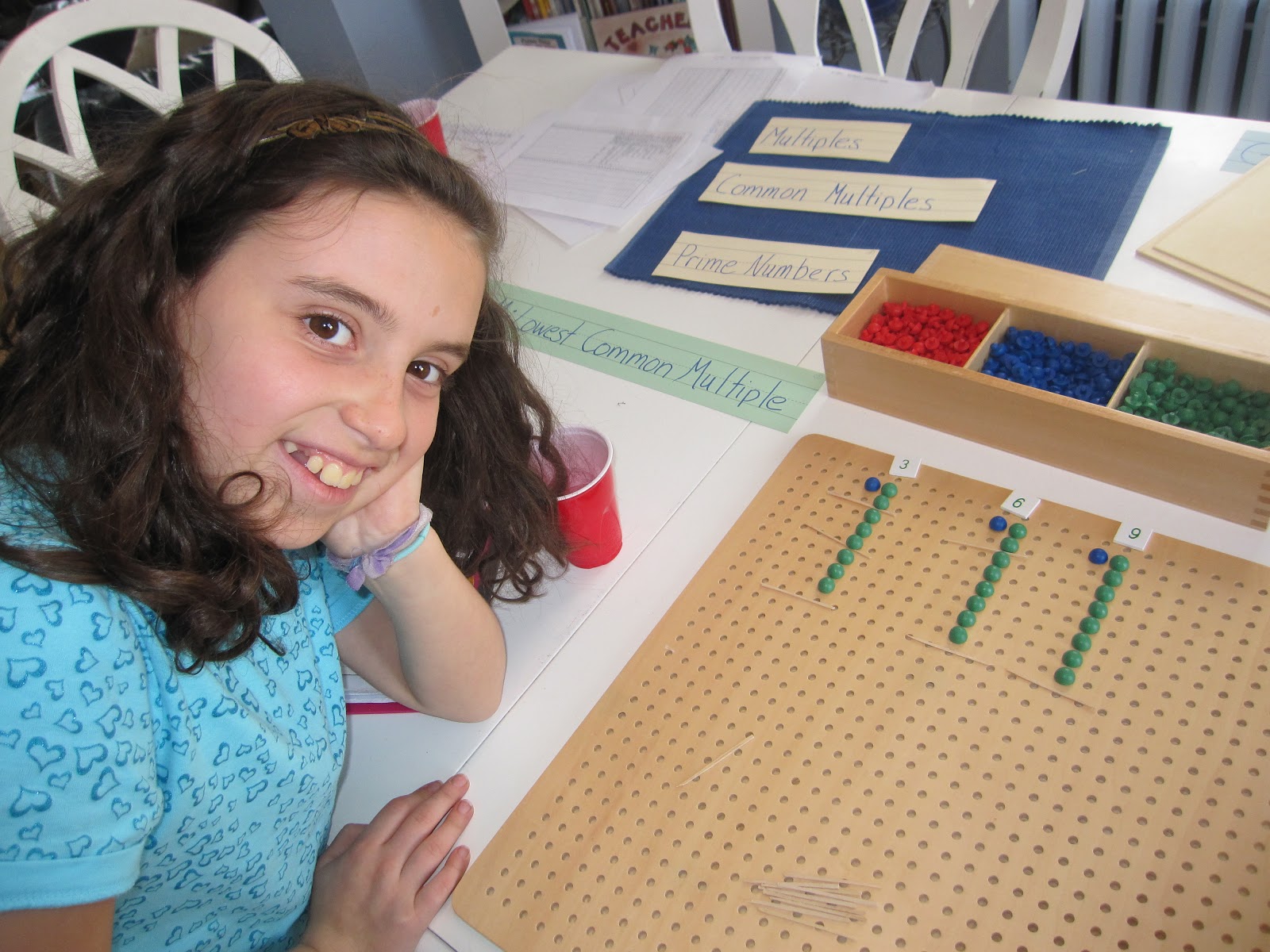 Home-based Educational Services: The Peg Board