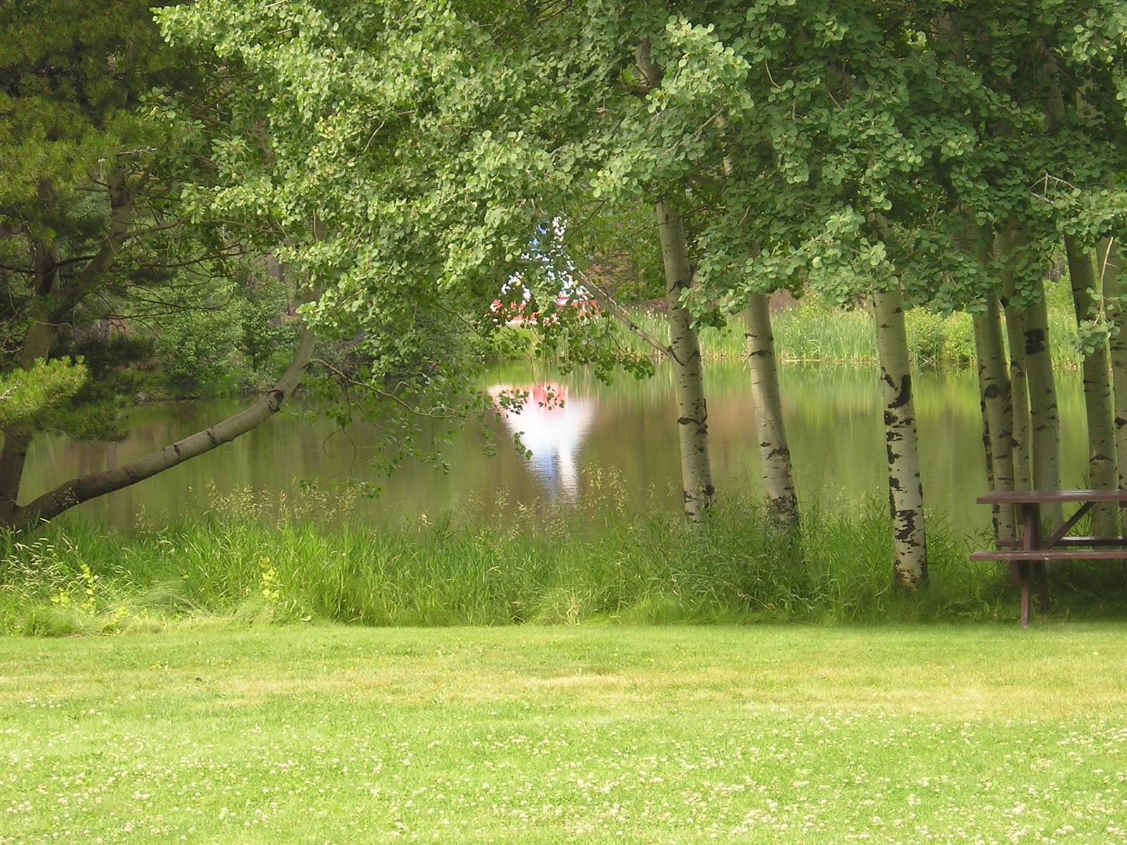 Bear Speaks: The Inspiration of Feathered Pipe Ranch