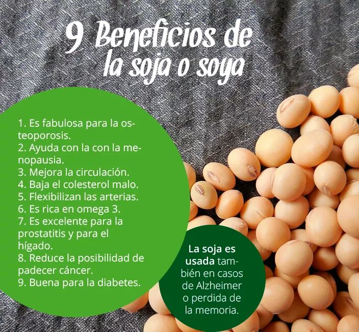 Salud y Bienestar : Beneficios de...