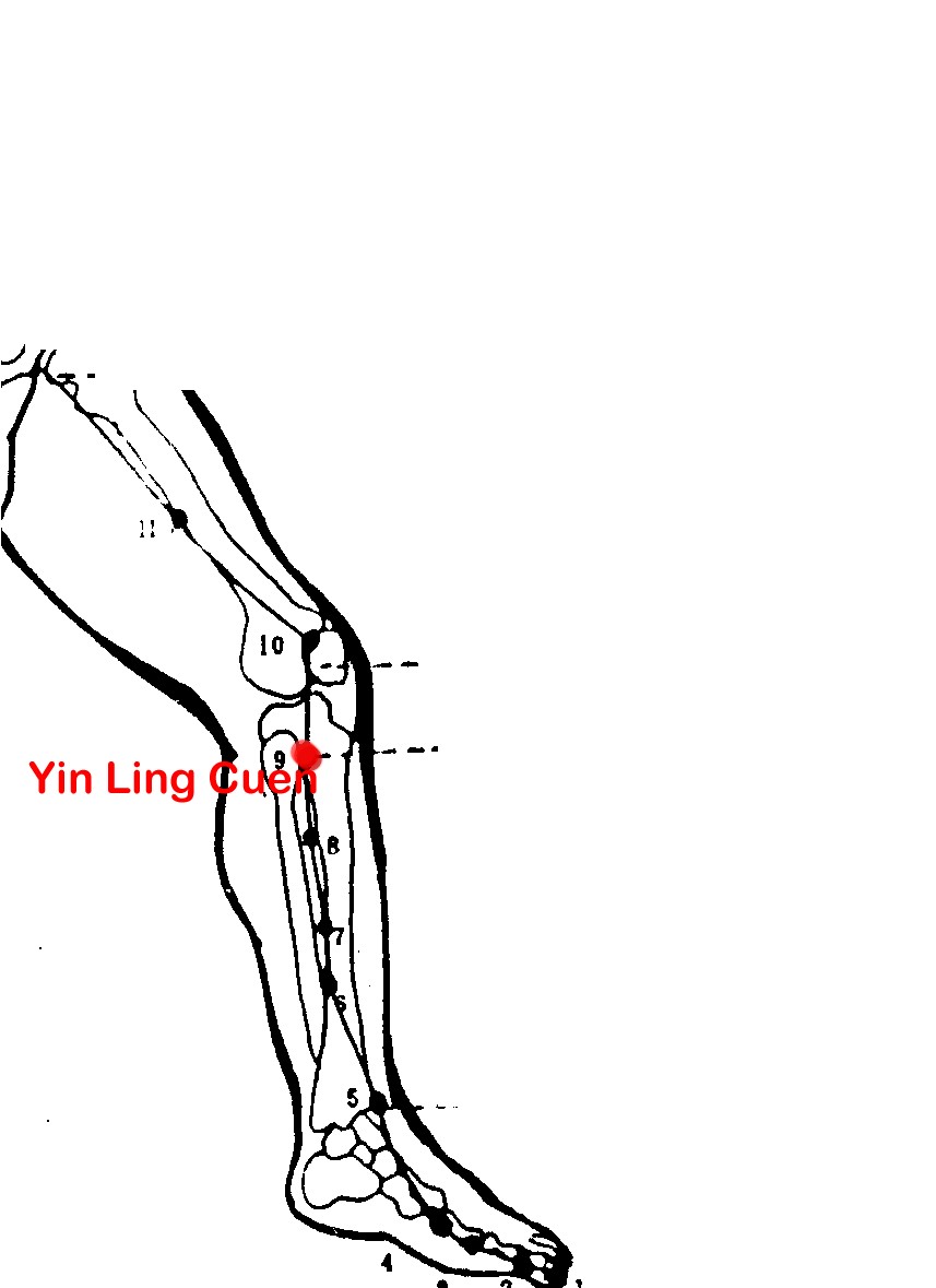 DIARE ( MENCRET ) - PENYUMBATAN