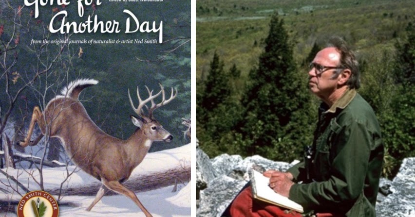 PA Environment Digest Blog: Ned Smith Center For Nature And Art Offers ...