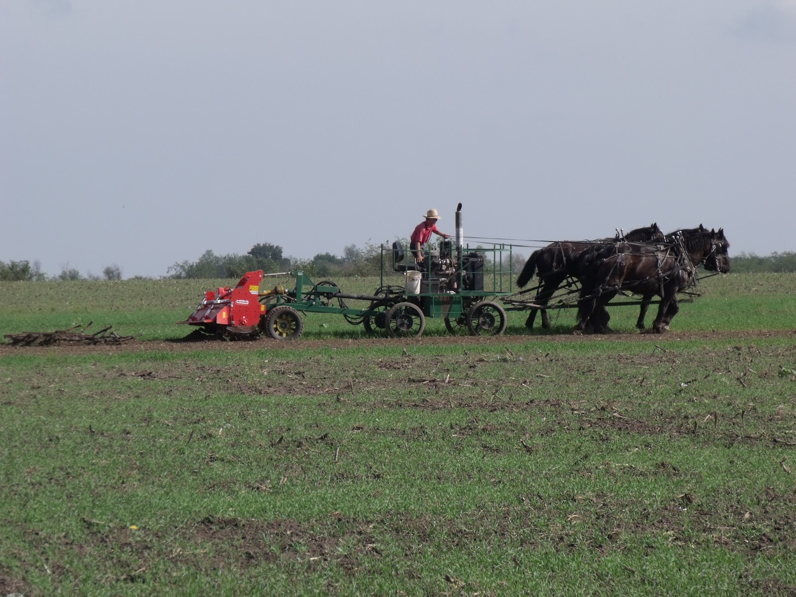 Seriously?: Amish Tractor?