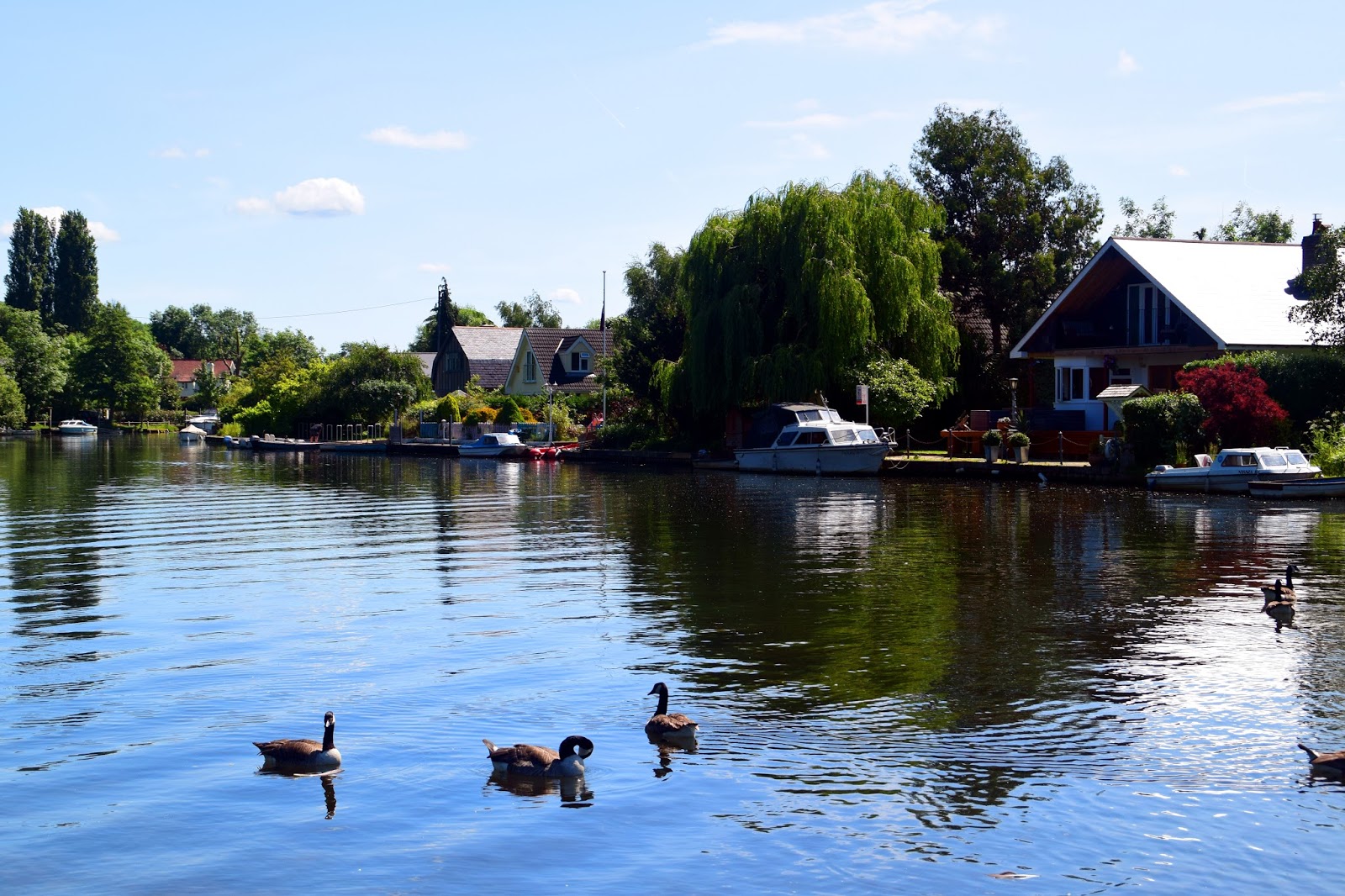 Enjoy your time with beautiful places: Towards to Shepperton Lock on ...