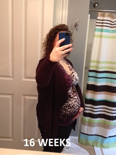 Diary of a Little Chicken: 16 weeks...it's baaaaack...