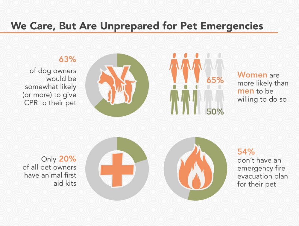 About Animals: Infographic Guide to Puppy CPR