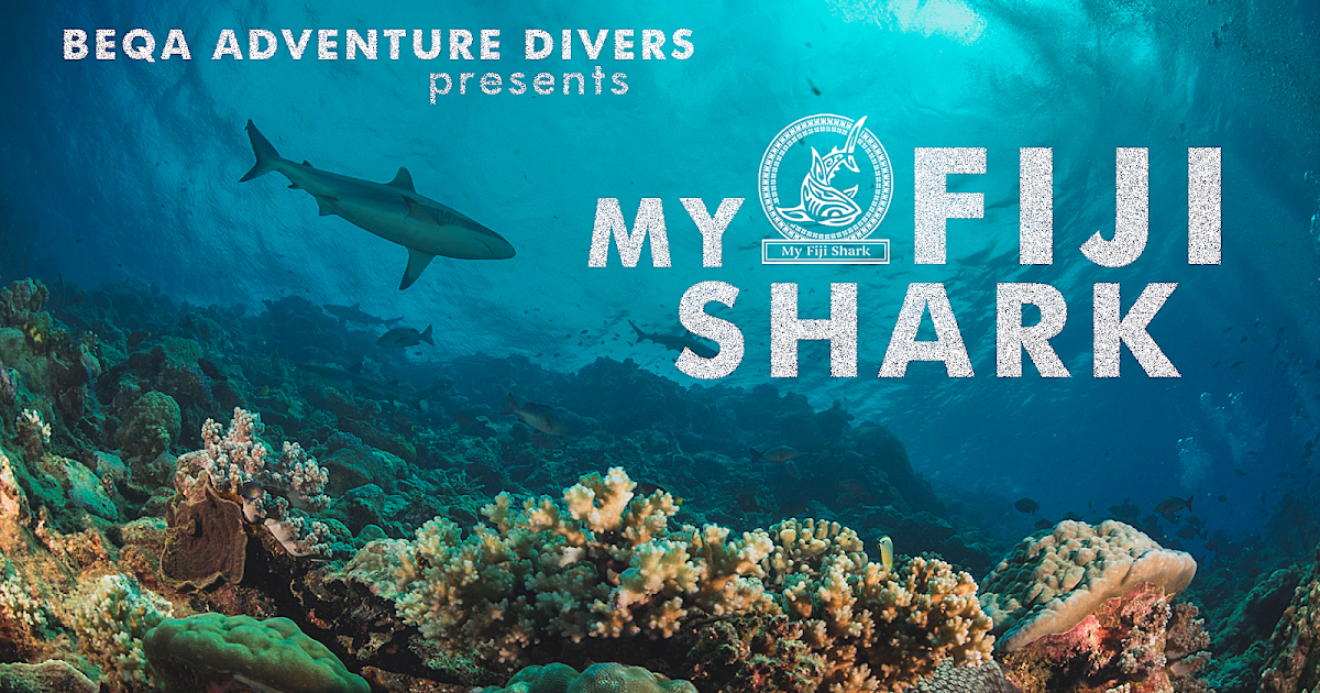 The Best Shark Dive in the World!: Beqa Adventure Divers presents!