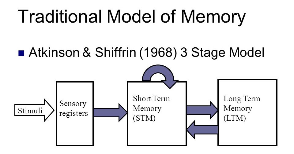 What is cognitive load theory?