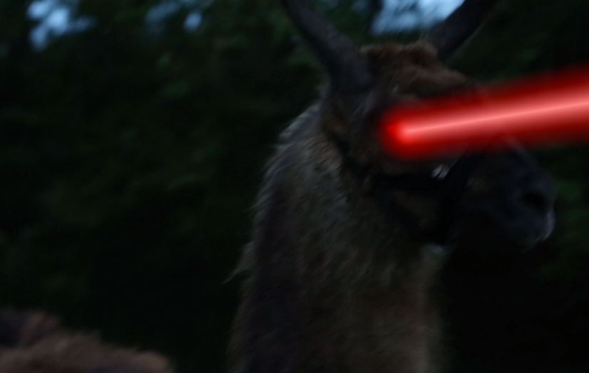 A Southern Life in Scandalous Times: Official Trailer For Alien Llama ...