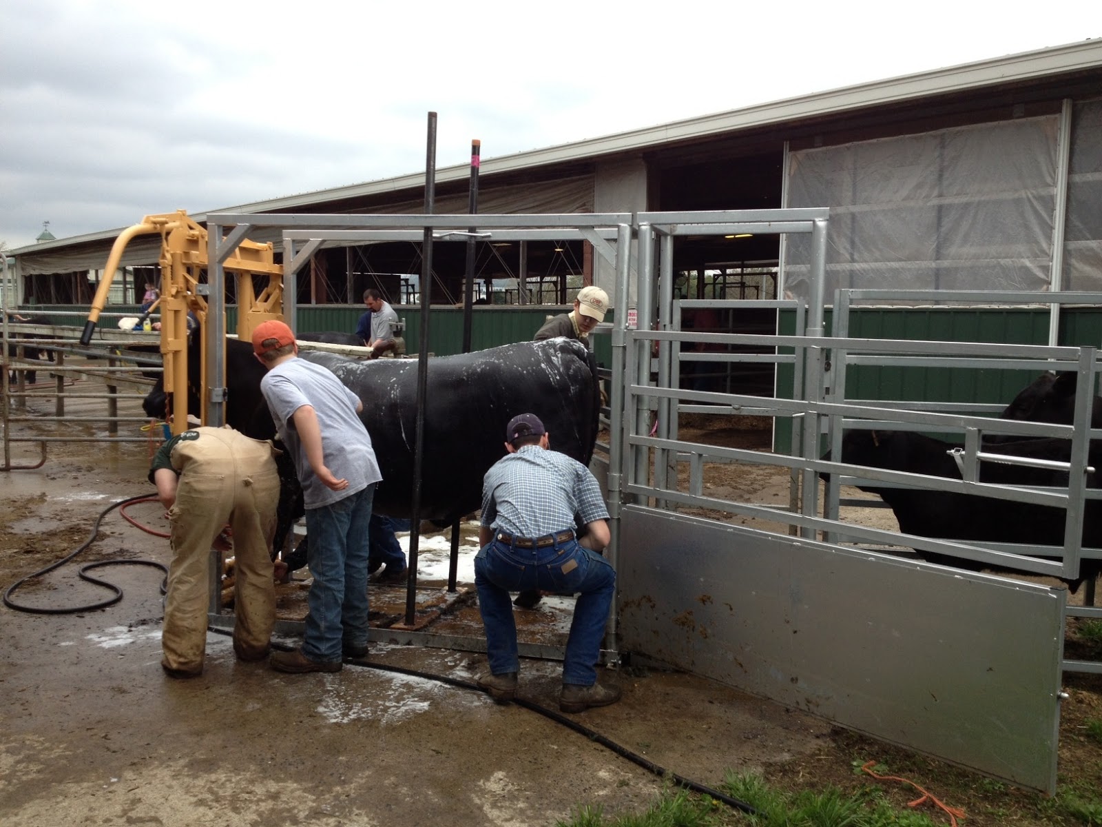 Life Lessons in Agriculture