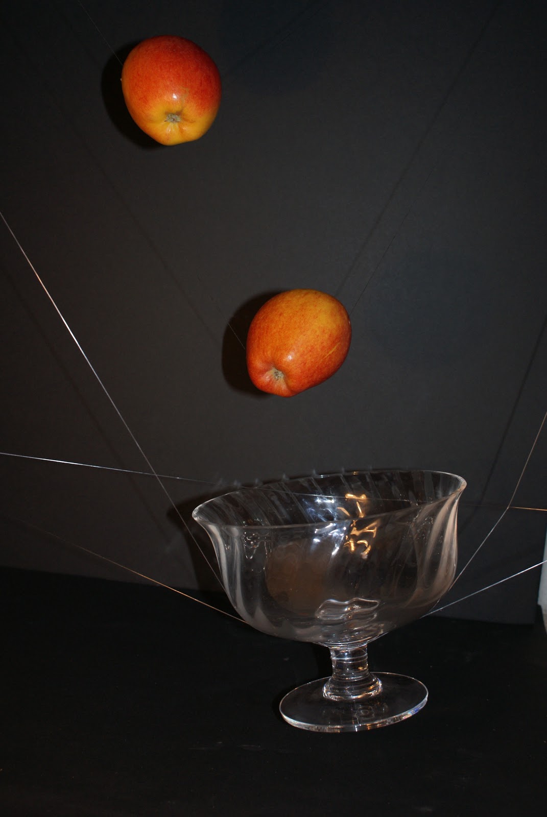 Emily's Art Blog: Floating Still Life Experiment