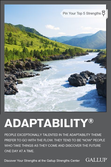 A Look at Adaptability