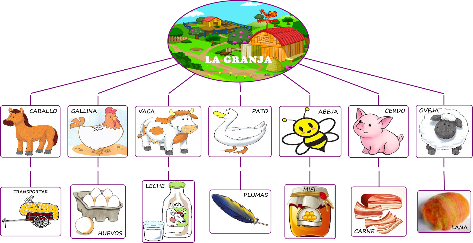 Cuenta los 100: La Granja - Mapa Conceptual