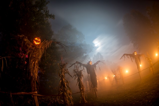 PUMPKINROT.COM: The Blog: Revisiting Haunted Overload