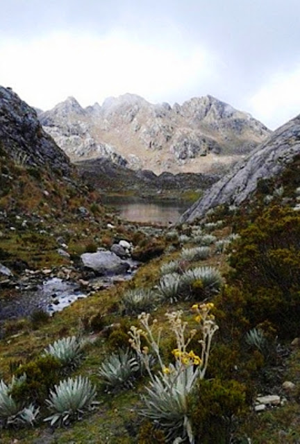 Venezuela Güigüe Tours: Mérida - Páramo Los Conejos - Edo. Mérida ...