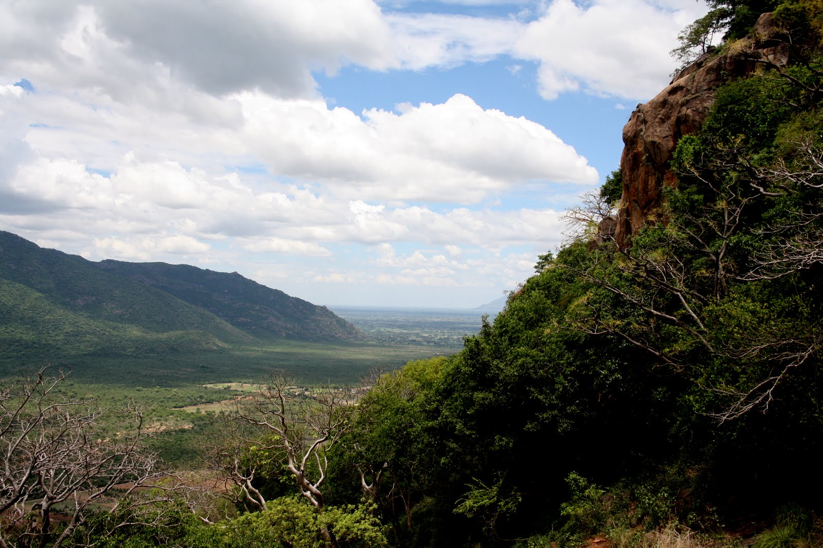Tamilnadu Tourism: Javadi Hills, Thiruvannamalai