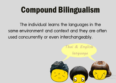 07 Type of Bilingual