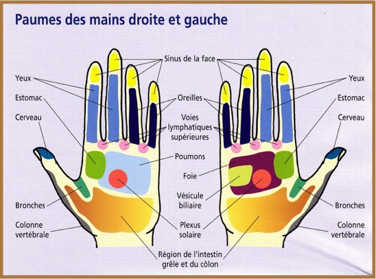 ALERTE VOTRE CORPS VOUS PARLE: ART. N°7 – MAINS, DOIGTS ET ONGLES.