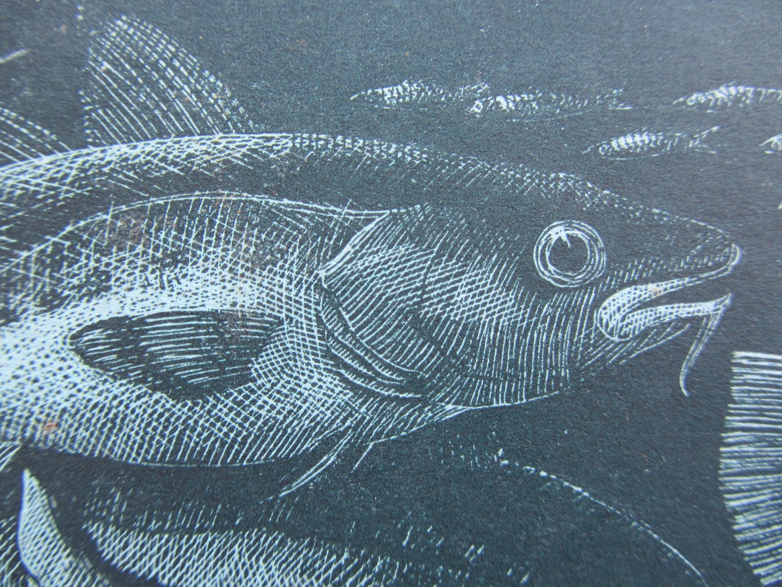 Andrews of Arcadia Scrapbook: Trawlerman Style