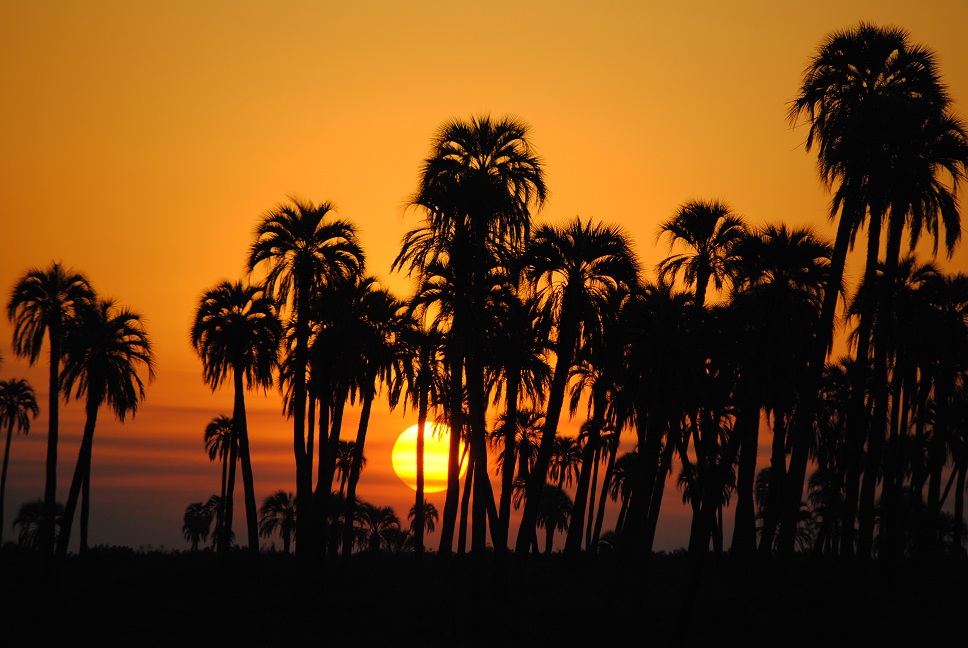 CONOZCAMOS LA ARGENTINA: PARQUE NACIONAL EL PALMAR, ENTRE RÍOS Es uno ...
