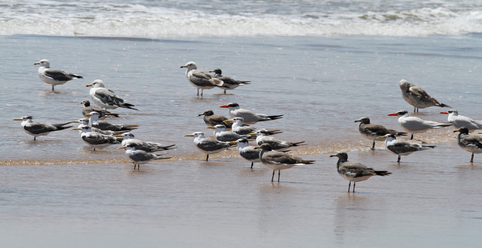 Simon and Karen Spavin: Sabaki River Mouth