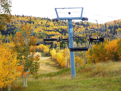 Skunk Tracks: Color Weekend at Powderhorn