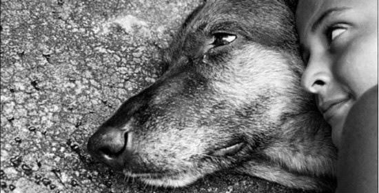 Terapia y Comunicación Animal Bea Antelo: Cómo los animales mejoran ...