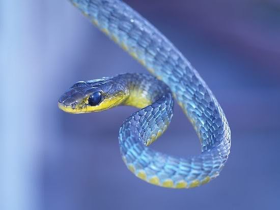 World's All Amazing Things, Pictures,Images And Wallpapers: Beautiful ...