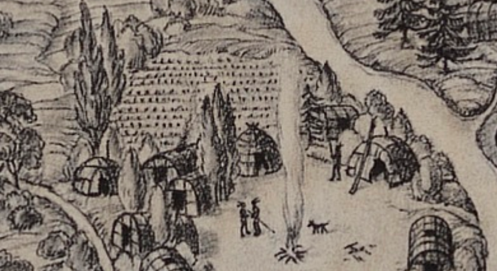 PHILLY TREES: THE PHILADELPHIA PALIMPSEST