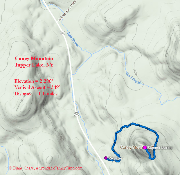 Easy Adirondack Hikes: Glory on the summit of Coney Mountain (Tupper ...