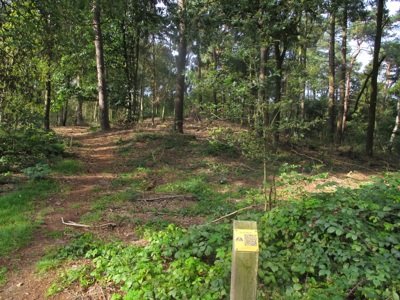 de zillertaler fans: 2014